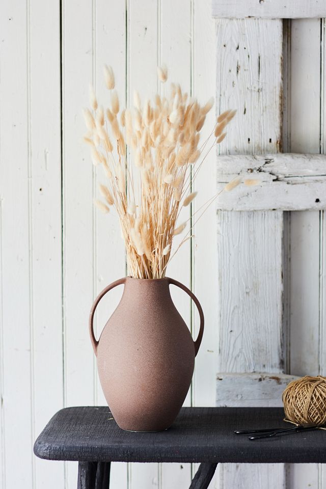 Preserved Lagurus Bunch | AnthroLiving