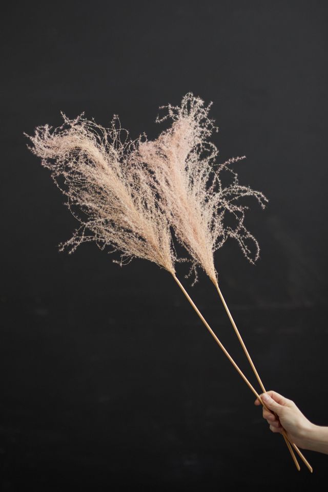 Preserved Fluffy Silver Grass Bunch | Anthropologie