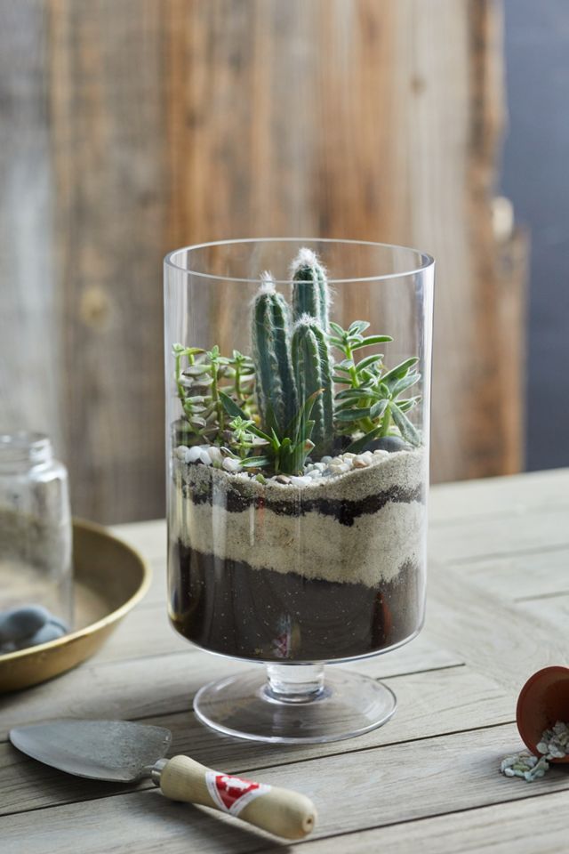 Footed Column Terrarium | Terrain