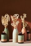 Woven Leaves Ceramic Reed Diffuser | Anthropologie