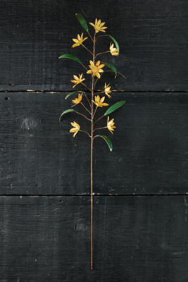Colorful Iron Flower Stem | AnthroLiving