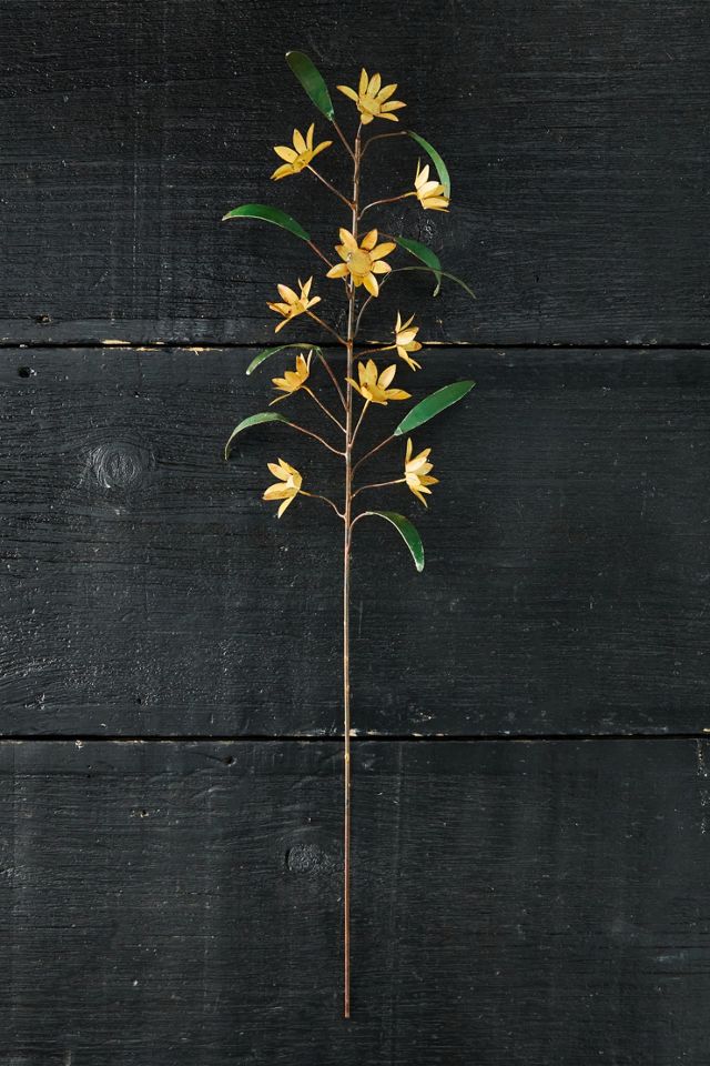 Colorful Iron Flower Stem | AnthroLiving