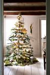 Faux Silvertip Fir | AnthroLiving