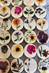 Loria Flower Pressed Shortbread Cookies | AnthroLiving