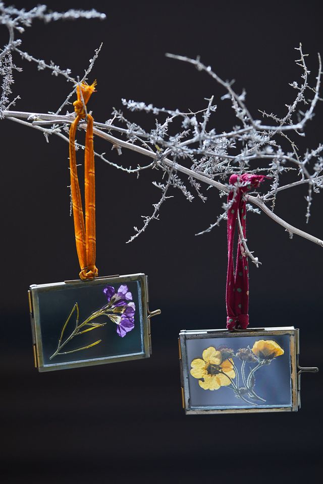 Brass Frame Ornaments, Set of 2 | AnthroLiving