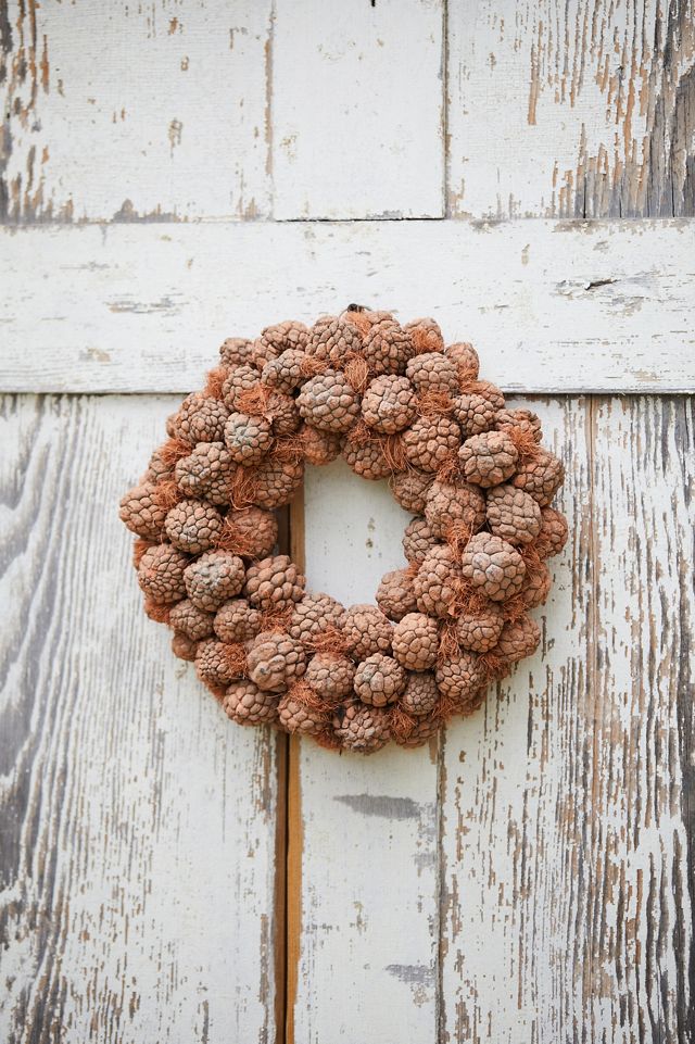 Dried Ata Fruit Wreath | Anthropologie