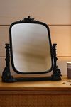 Gleaming Primrose Vanity Mirror | Anthropologie