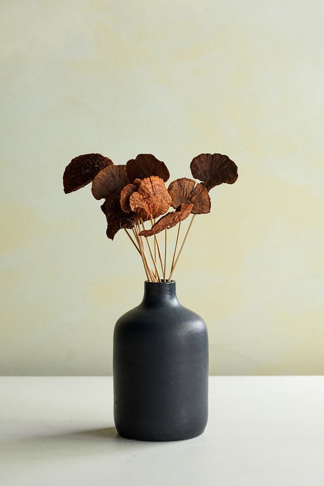 Preserved Sponge Mushroom Stem Bunch | Anthropologie
