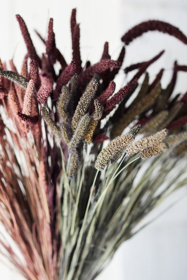 Preserved Millet Bunch | Terrain