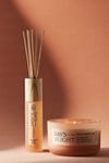 Day's Last Light Glass Boxed Candle | Anthropologie