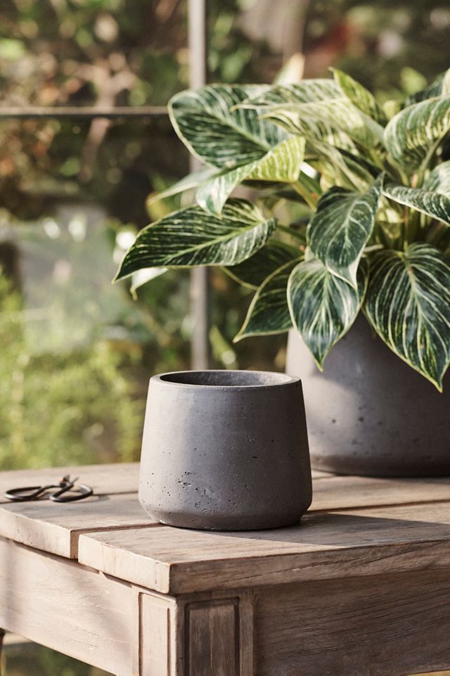 Fiber Cement Drop Planter, 5" | Anthropologie