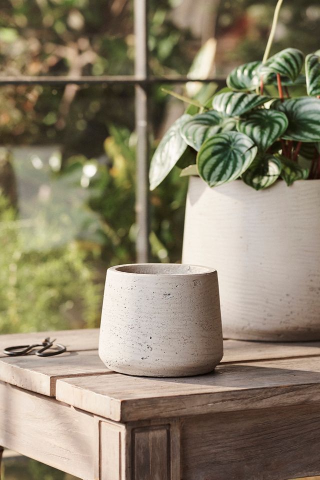 Fiber Cement Drop Planter, 5" | Terrain