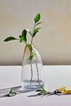 Organic Glass Vase | Anthropologie