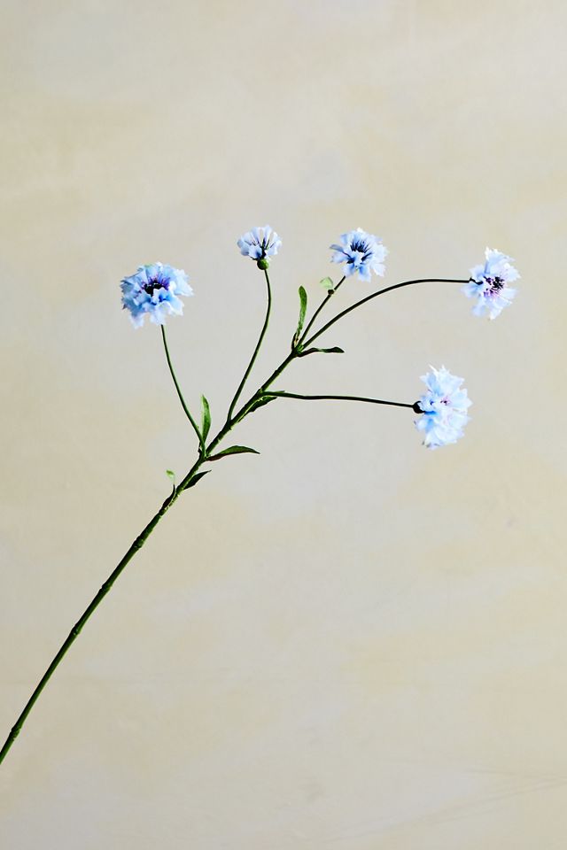 Faux Cornflower Stem | Anthropologie