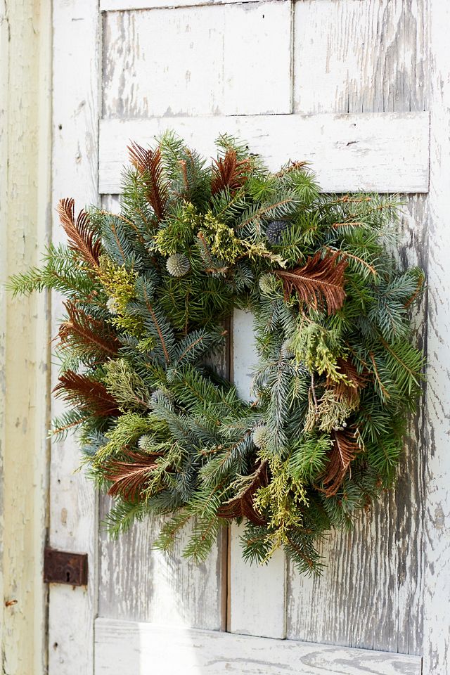 Fresh Noble Fir + Fern Wreath | Anthropologie