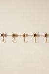 Kasia Hook Rack | AnthroLiving
