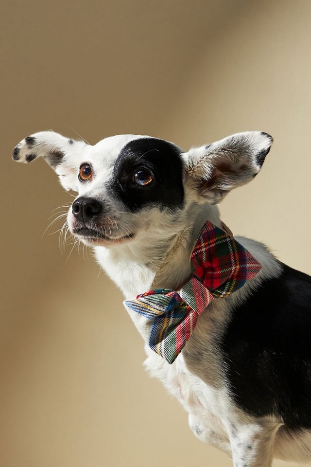 The Foggy Dog Flannel Plaid Bow Tie | Anthropologie