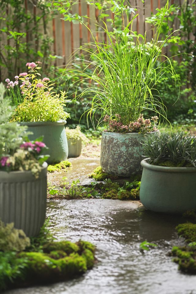 Roll Top Low Ceramic Planter, 13" | Terrain