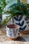 Botanics Footed Ceramic Planter, 4" | AnthroLiving