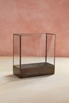 Open Top Cloche with Brass Base | AnthroLiving