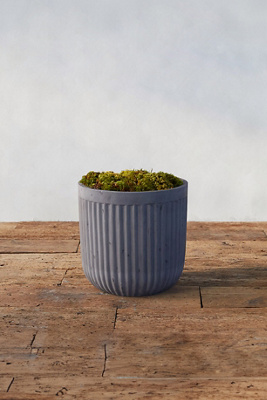 Fiber Concrete Barrel Pot, 12" | Terrain