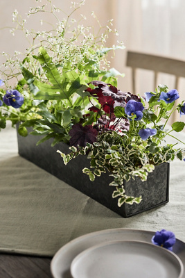 Habit & Form Rectangle Trough, Small | AnthroHome