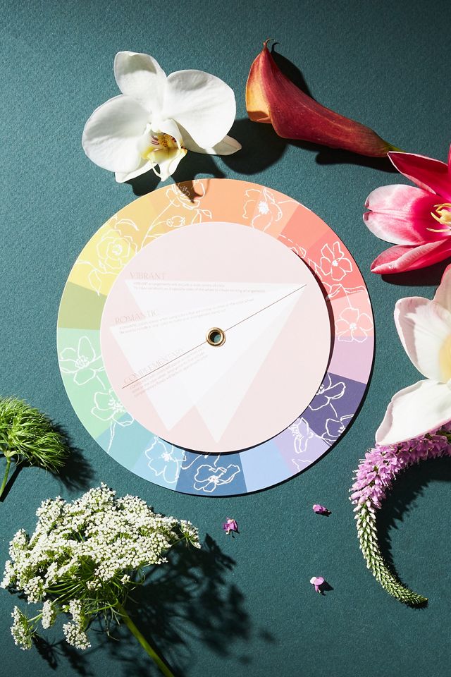 Floral Arranging Color Wheel | Anthropologie