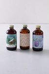 Sugar Plum Simple Syrup | Anthropologie