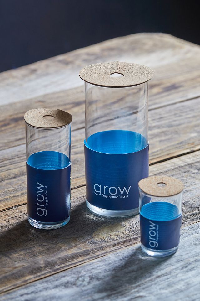 Glass + Cork Propagation Vessels, Set of 3 | AnthroLiving