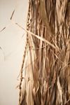 Palm Leaf Fringed Wall Hanging | AnthroLiving