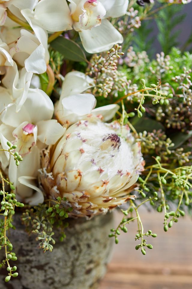 Fresh Cymbidium + Protea Bouquet | Terrain