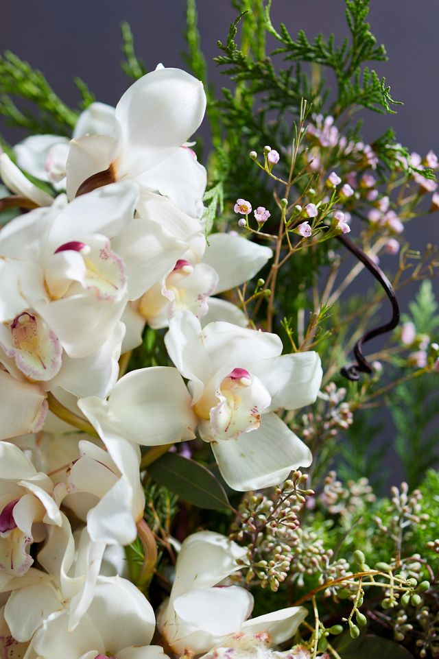 Fresh Cymbidium + Protea Bouquet | Terrain