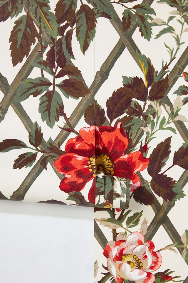 House of Hackney Bryher Rose Trellis Wallpaper | Anthropologie