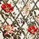 House of Hackney Bryher Rose Trellis Wallpaper | AnthroLiving