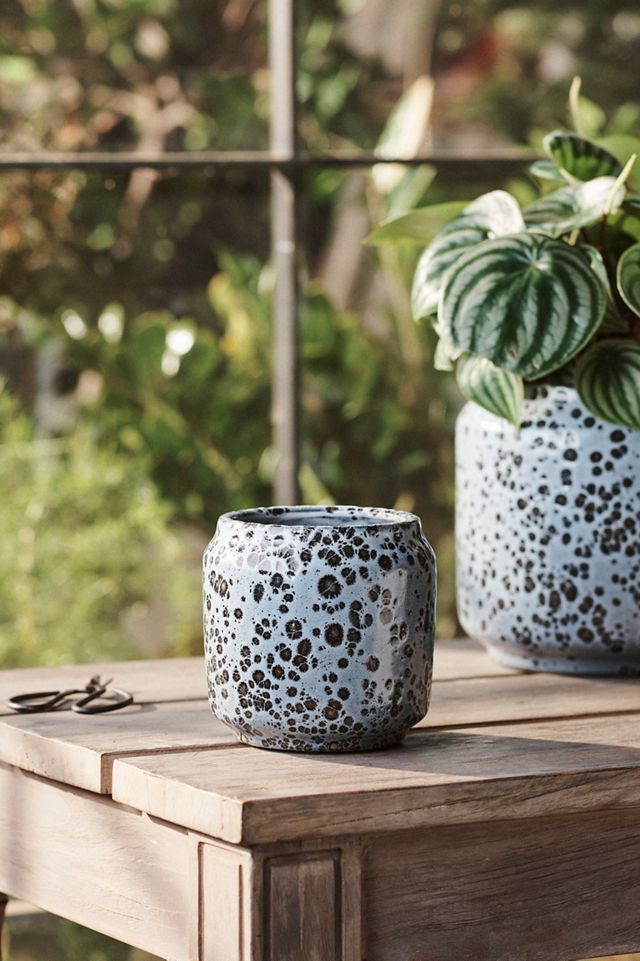 Spotty Ceramic Planter, 4" | Terrain