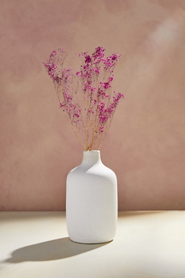 Preserved Gypso Bunch, Pink | Terrain