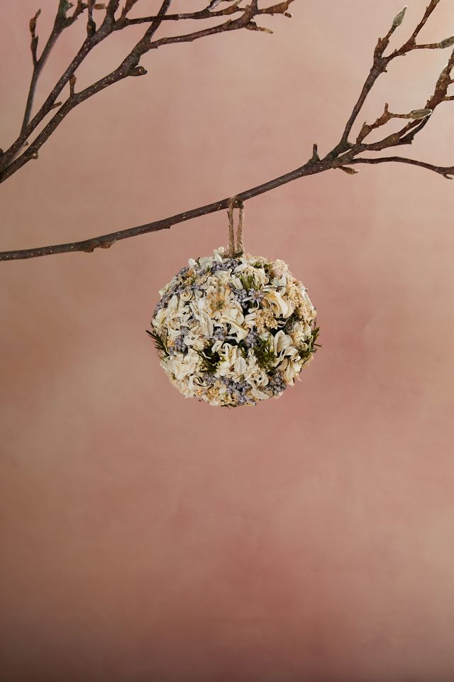 Dried Floral Hanging Sphere | AnthroLiving