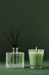 Nest Fragrances Reed Diffuser | AnthroLiving