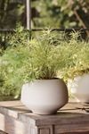 Angled Base Ceramic Planter, 4" | AnthroLiving