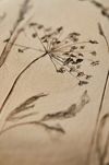 Embossed Botanical Ceramic Board | AnthroLiving