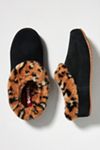 Sorel Go Coffee Run Slippers | Anthropologie