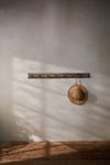 Teak Peg Wall Rack | AnthroLiving