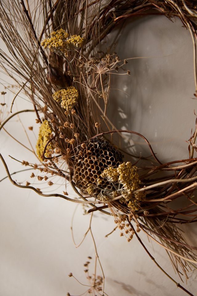 Ashn Earth Sunshine Wreath | Anthropologie