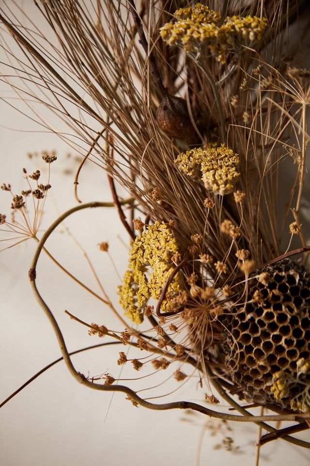 Ashn Earth Sunshine Wreath | Anthropologie