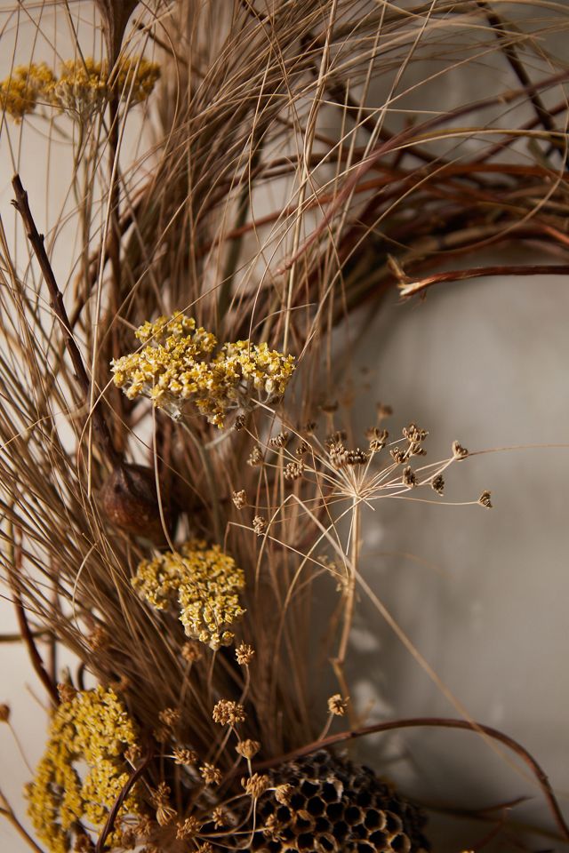 Ashn Earth Sunshine Wreath | Anthropologie