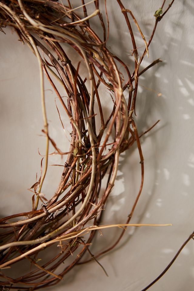 Ashn Earth Sunshine Wreath | Anthropologie