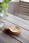 Teak Root Serving Paddle | AnthroLiving