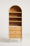 Fern Bookcase | AnthroLiving