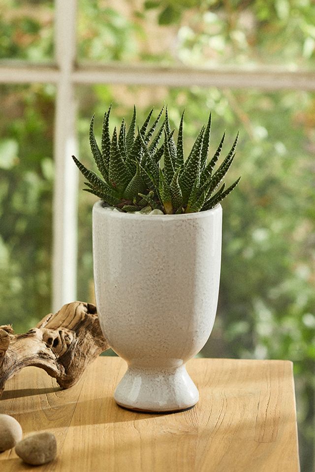 Footed Tall Ceramic Planter | Terrain