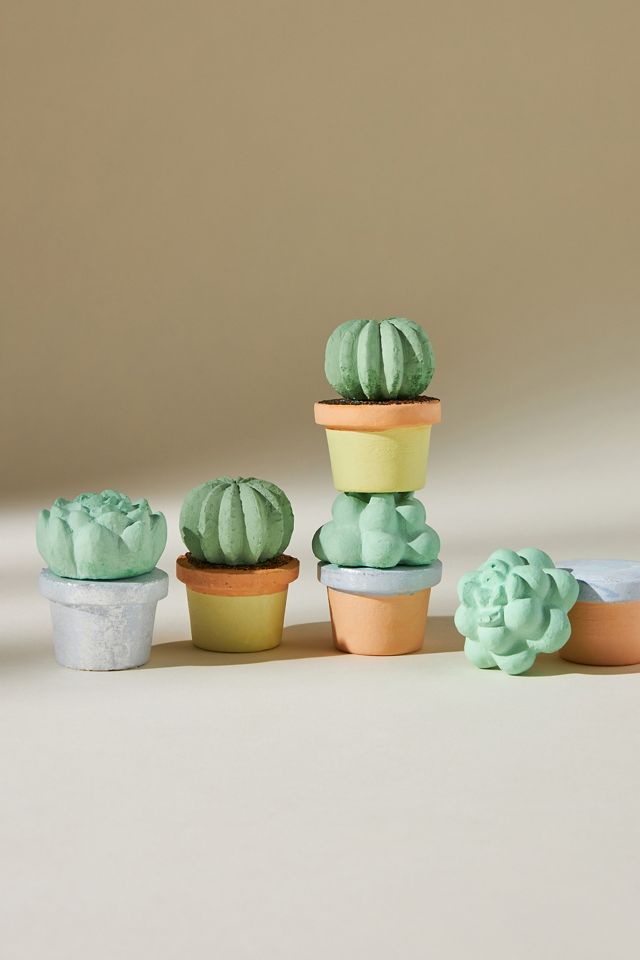 Succulent Sidewalk Chalk | Anthropologie